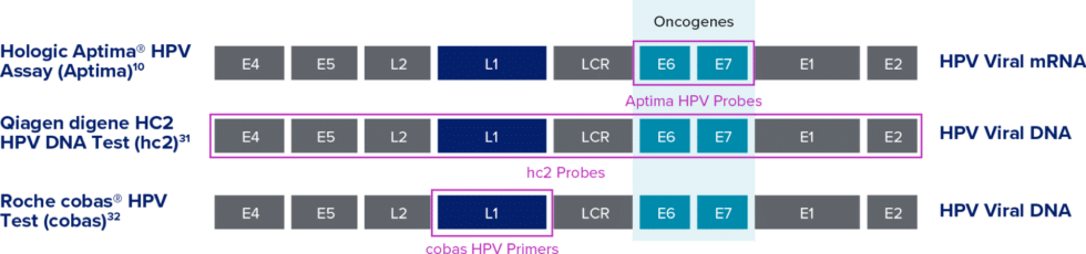 Aptima® HPV Assay | Hologic Women's Health